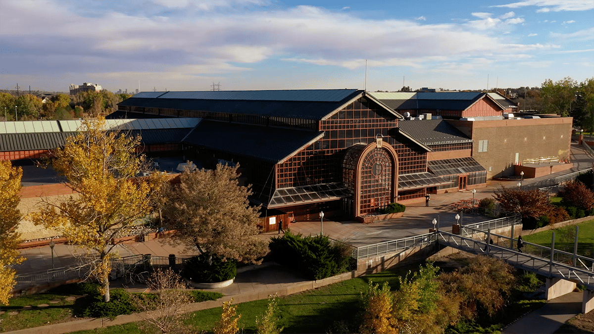 Dish hints at the capabilities of its network APIs