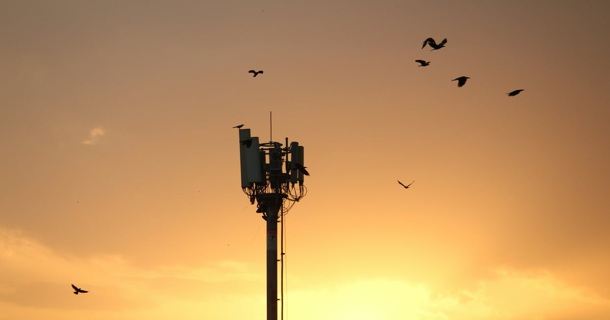 Tower companies bullish on spectrum, AI and the edge