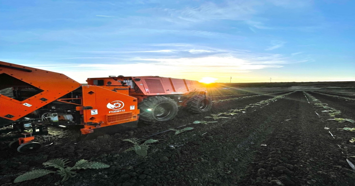 FarmWise Raises $45 Million for Weeding Robot | IoT World Today