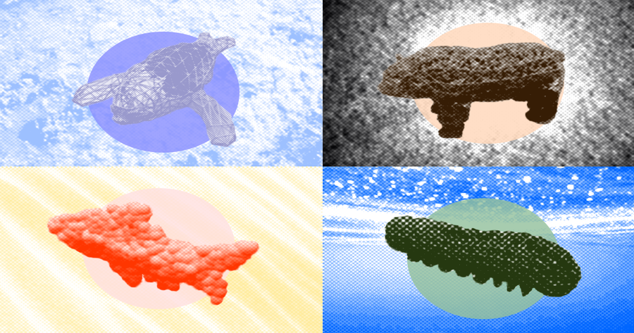 MIT Launches Soft Robot Platform for Researchers