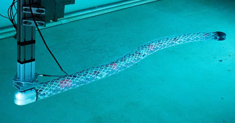 MIT Researchers Create Deformable, Eel-Like Robot