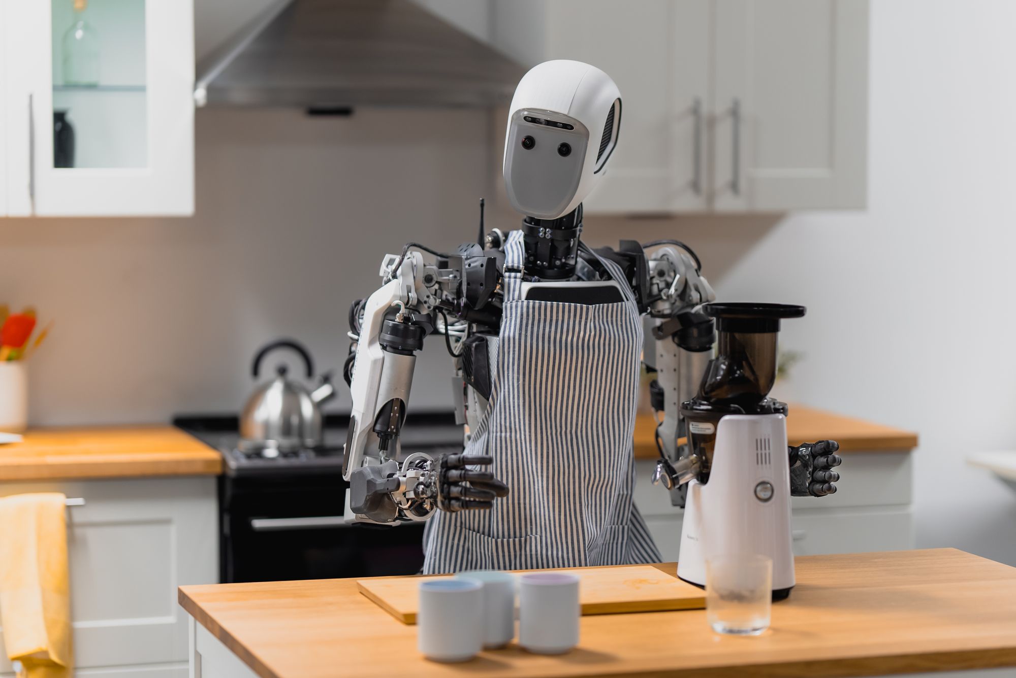 Humanoid Robot Developer Raises $350M