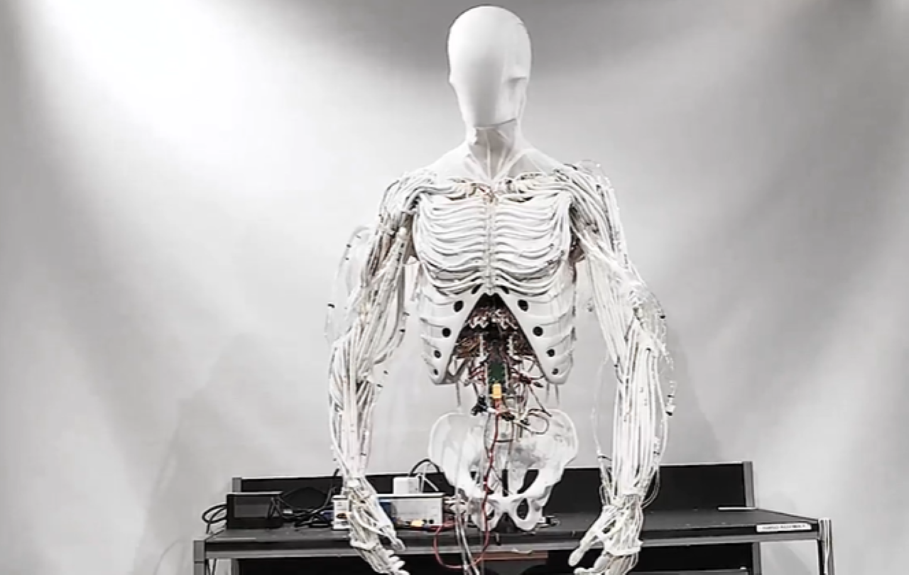 Humanoid Robot Available for Preorder; Walks, Talks Naturally