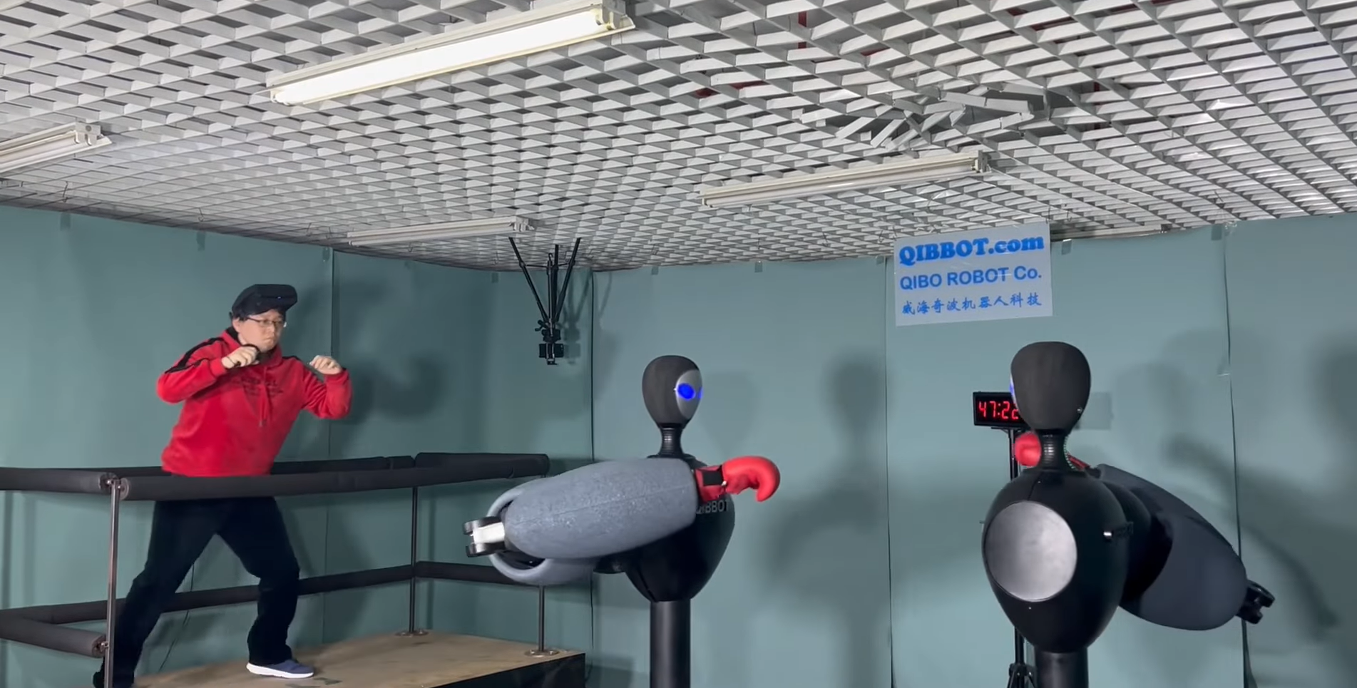 Boxing Robots Could be Used in Real-Time Matches