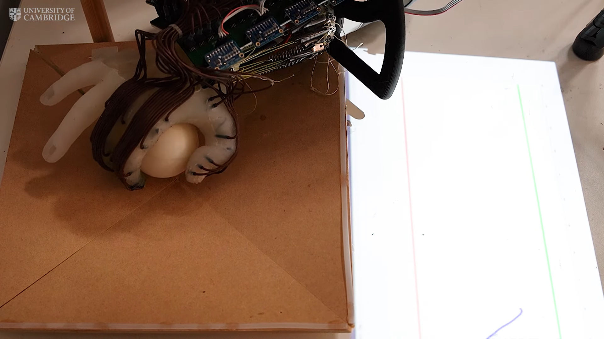 Researchers Develop Robotic Hand That Can Hold, Feel Objects