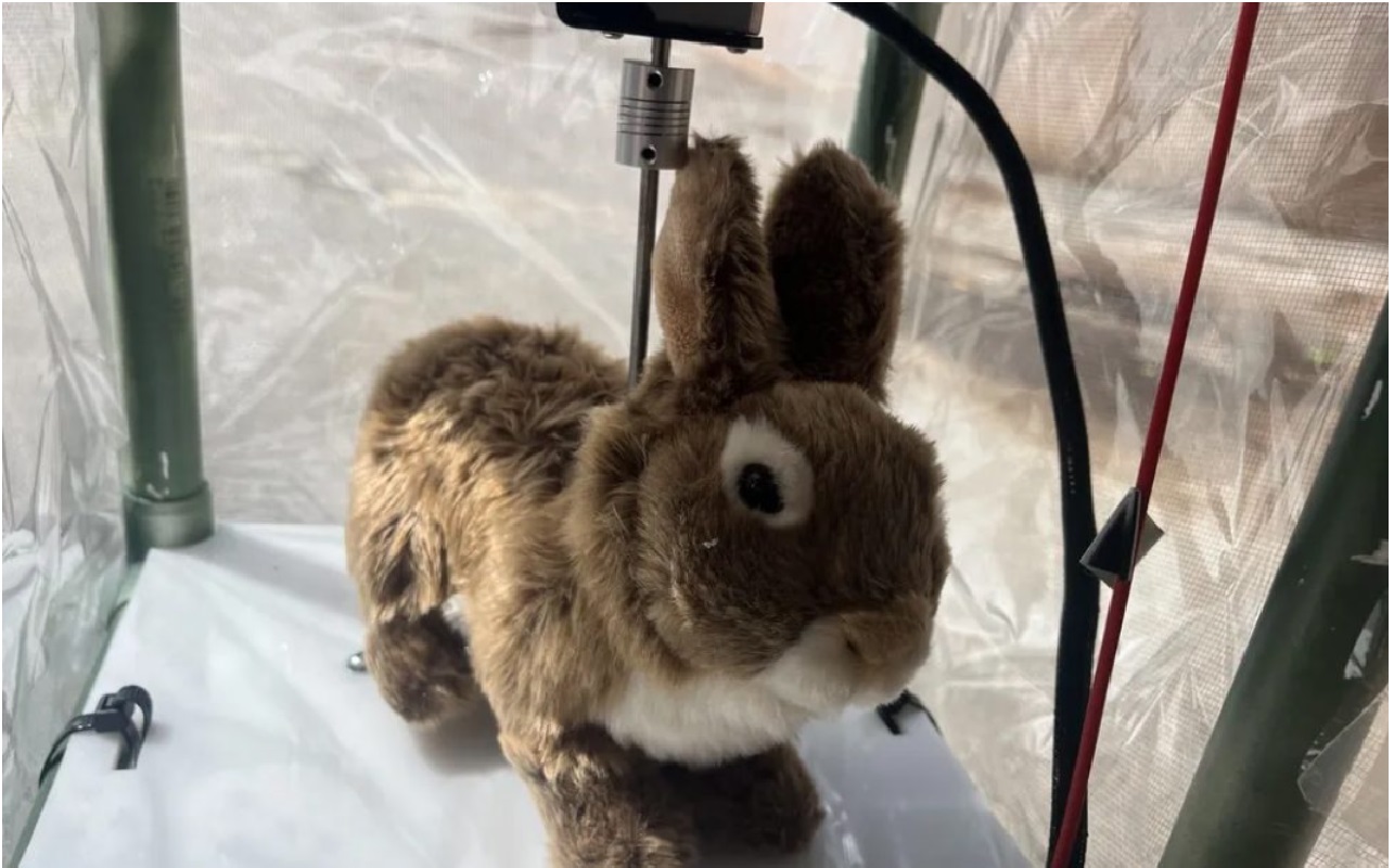 Most Read: Robot Rabbits Released in Florida Everglades; Tesla Ordered ...