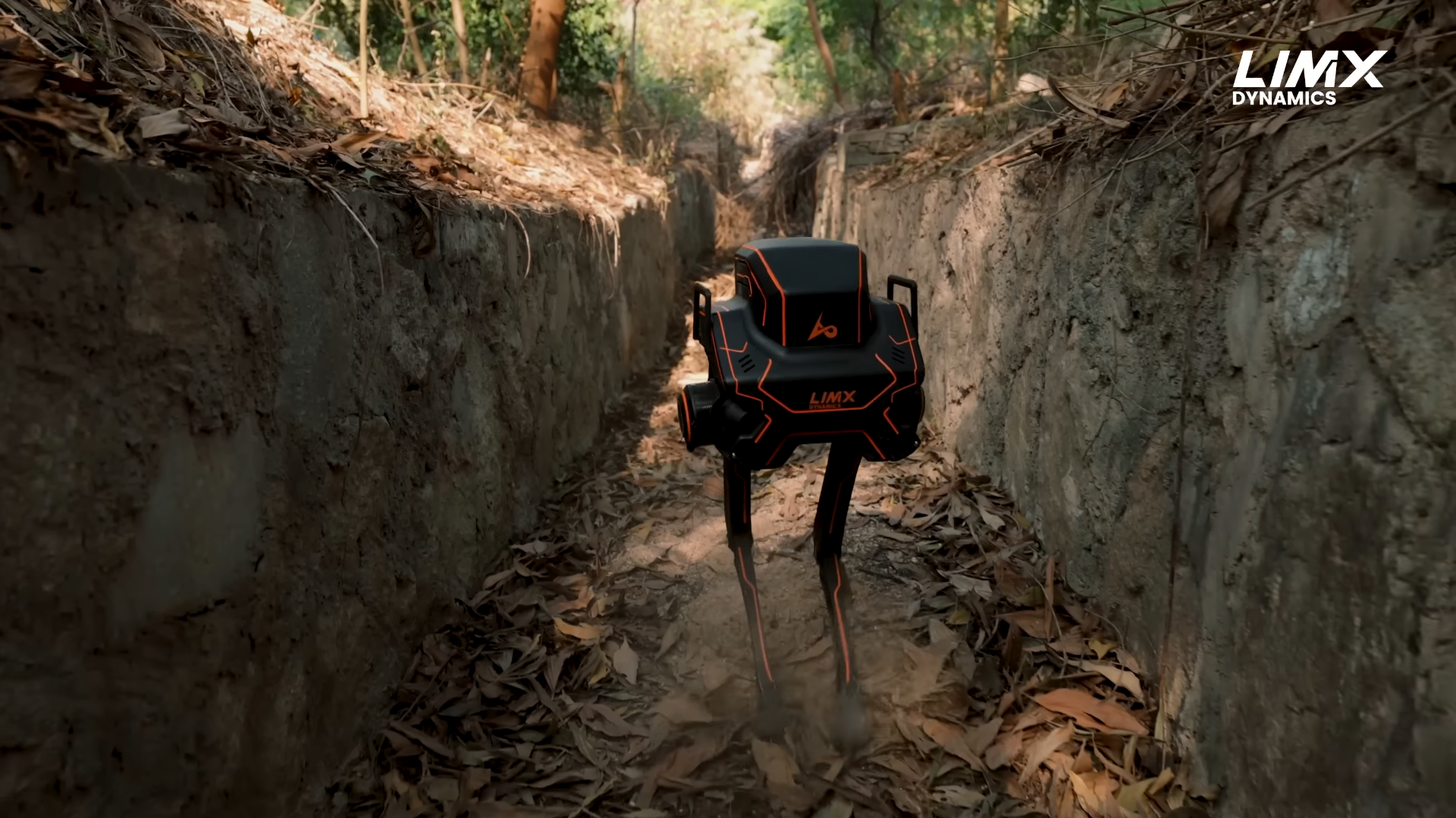 Two-Legged Robot Tackles Forest Terrain