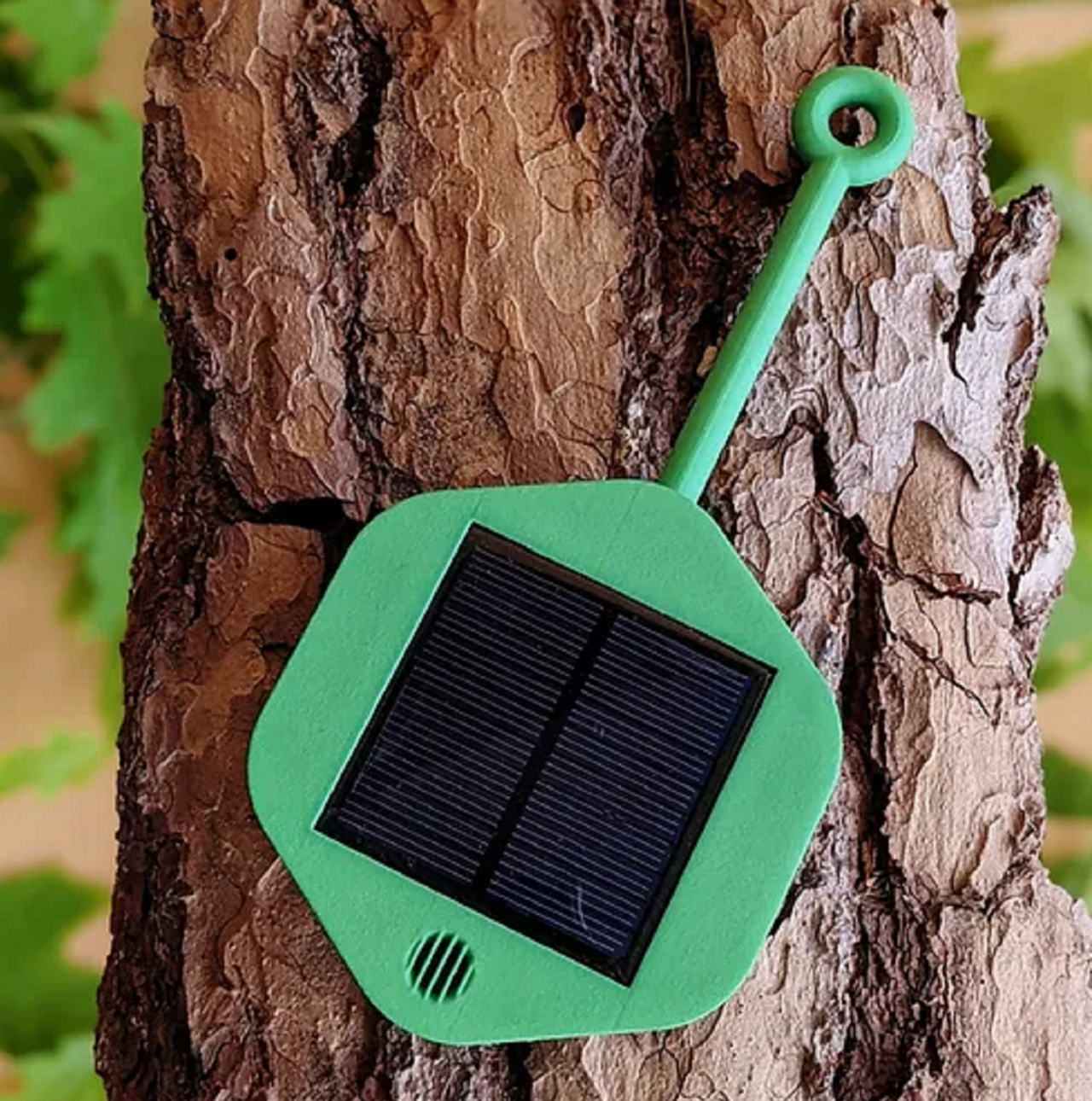 Wireless Tree Network Uses IoT to Connect Wildfire Defense System