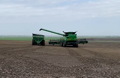 Chuck Martin | IoT World Today