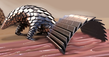 Flexible Medical Robot Inspired by Pangolins