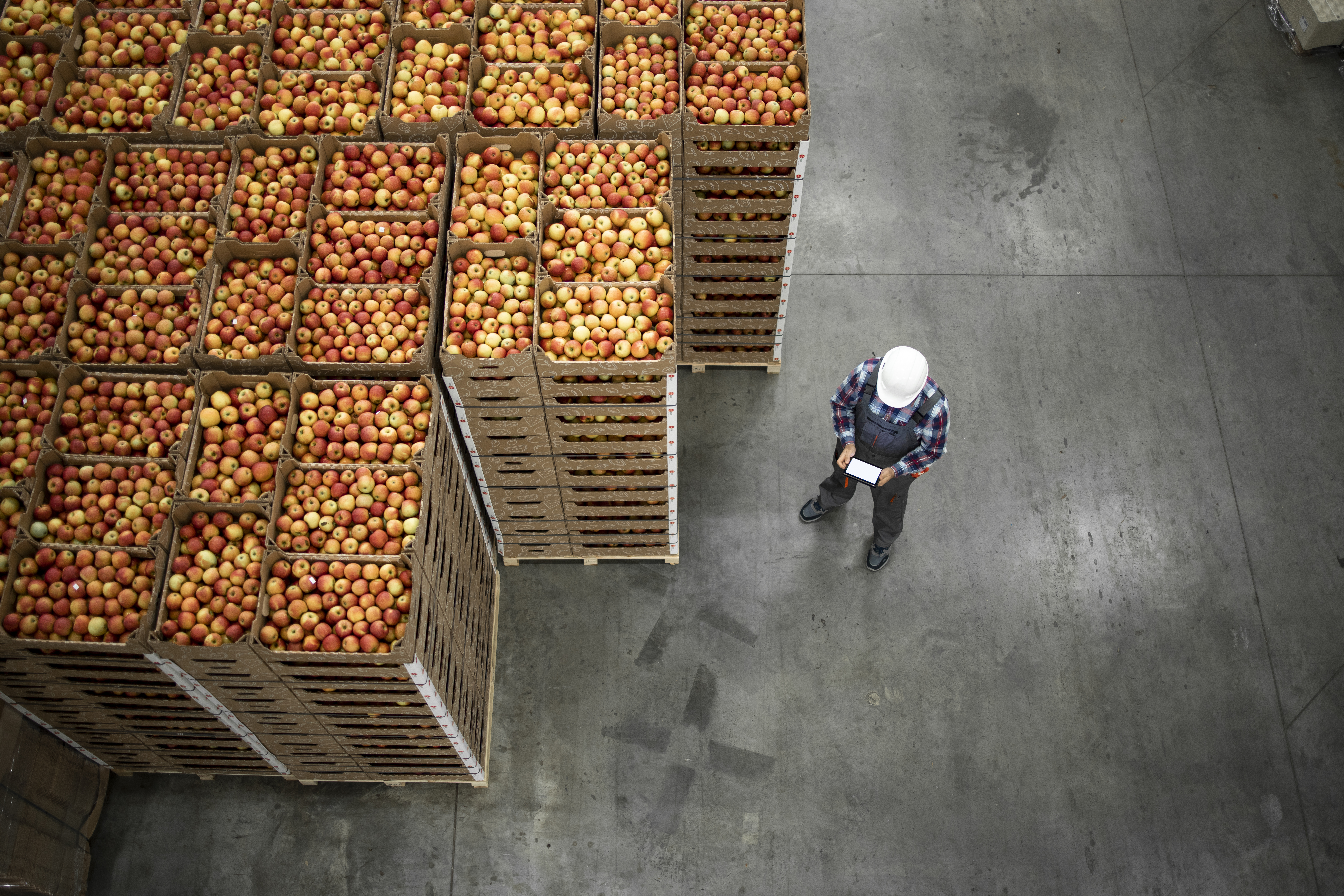 IoT Food Safety Program Enhances Supply Chain Transparency, Traceability