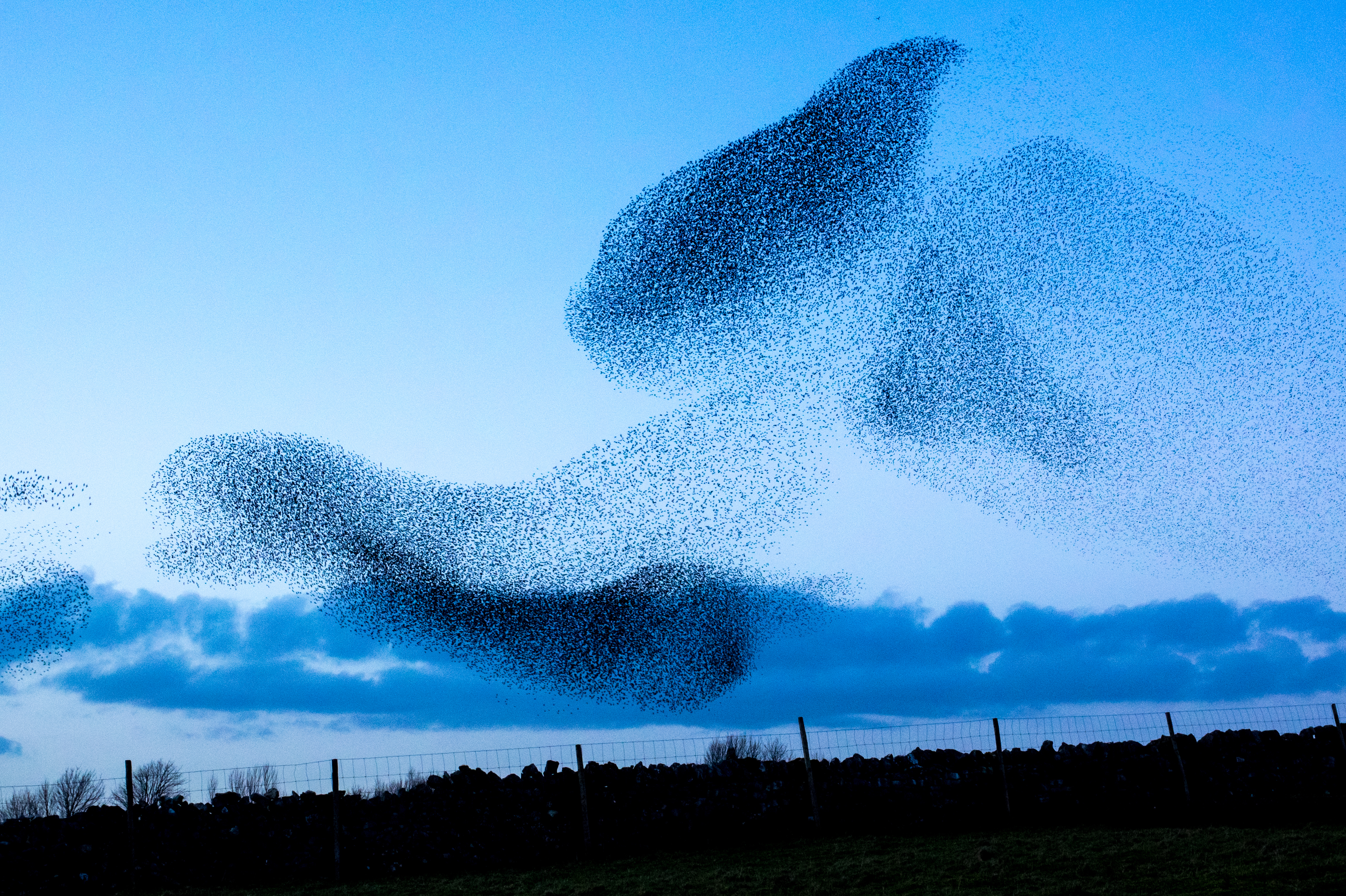 Robot Swarms Developed by University of Texas