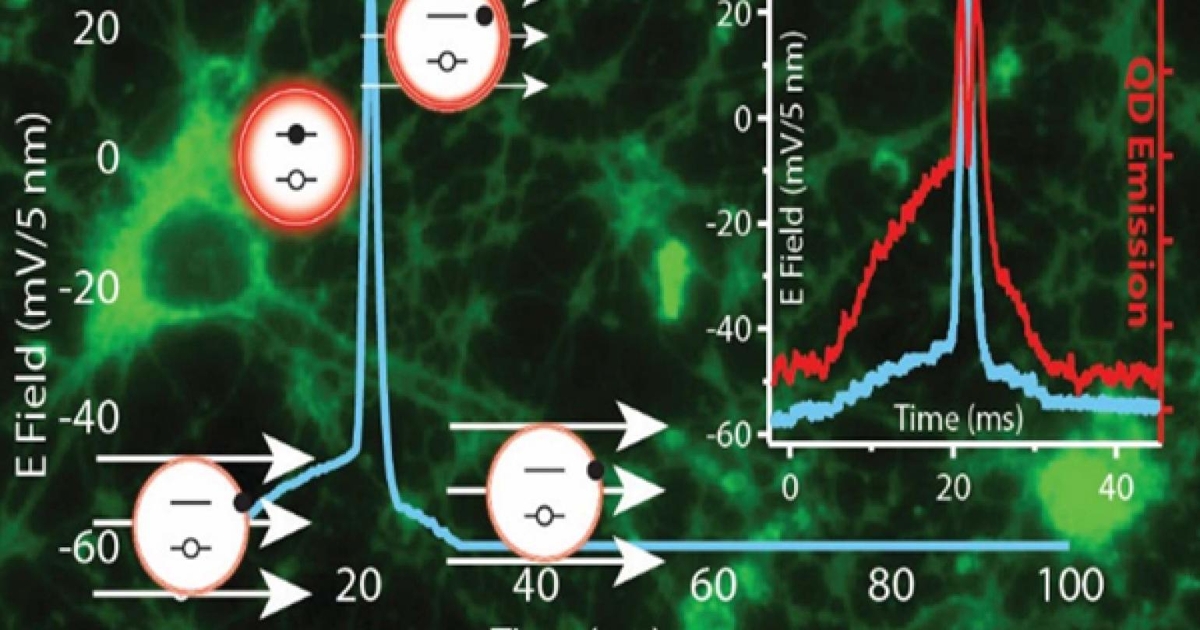Accenture: 'DARQ' tech poised to lead innovation in health care