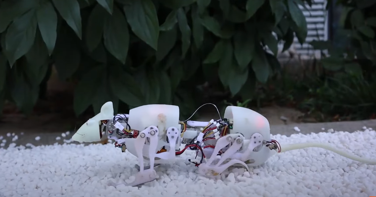 Robotic Rat Created for Search and Rescue Missions | IoT World Today
