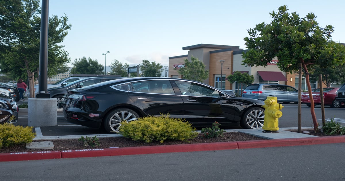 Tesla Self-Driving Parking Tech Debuts in Europe With Mixed Reception