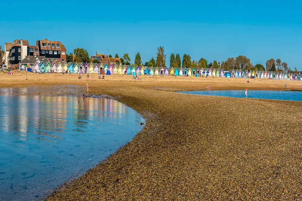What Beaches In Essex Allow Dogs what-beaches-in-essex-allow-dogs