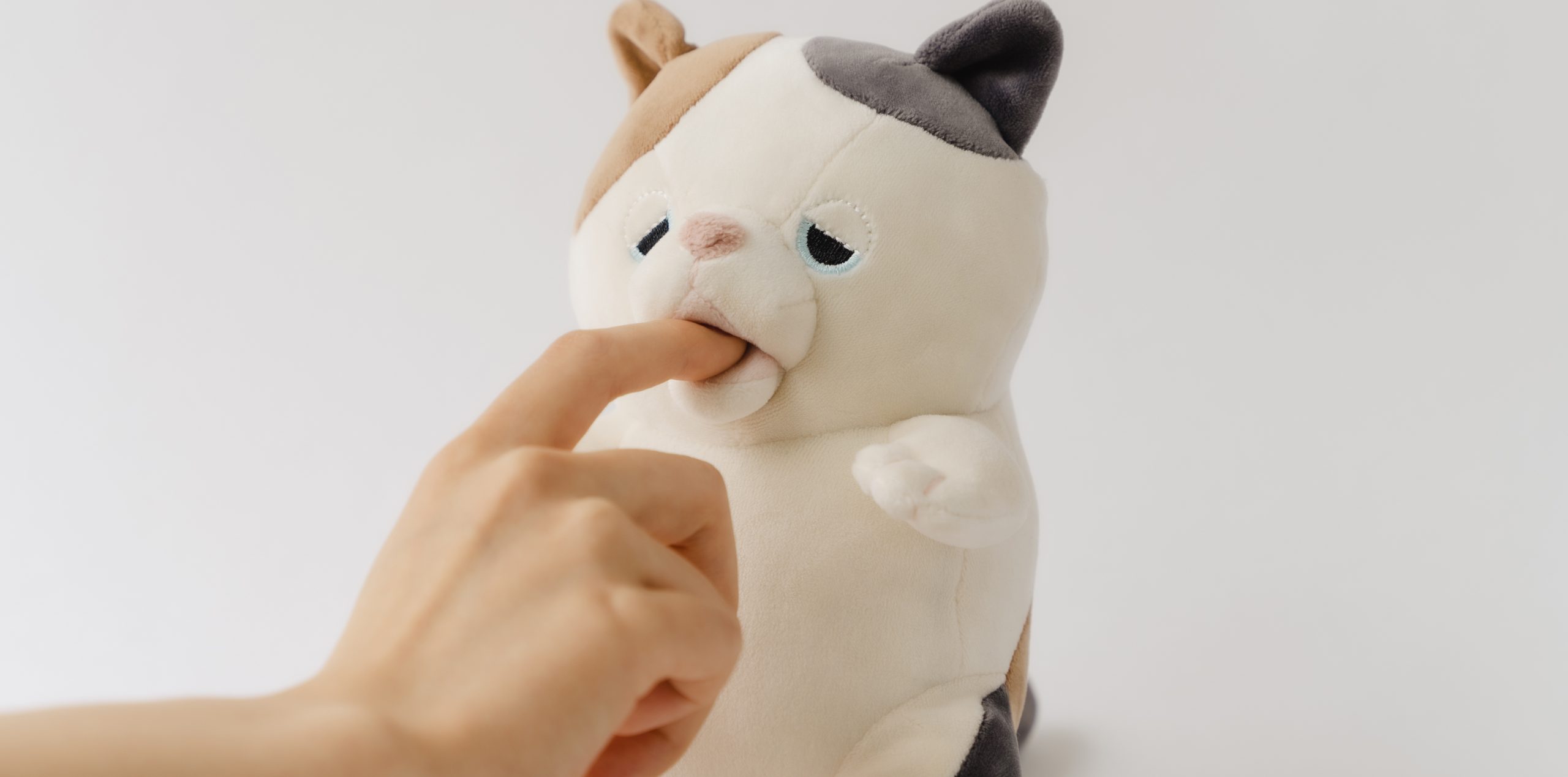 CES 2022: Behold the parade of weird tech