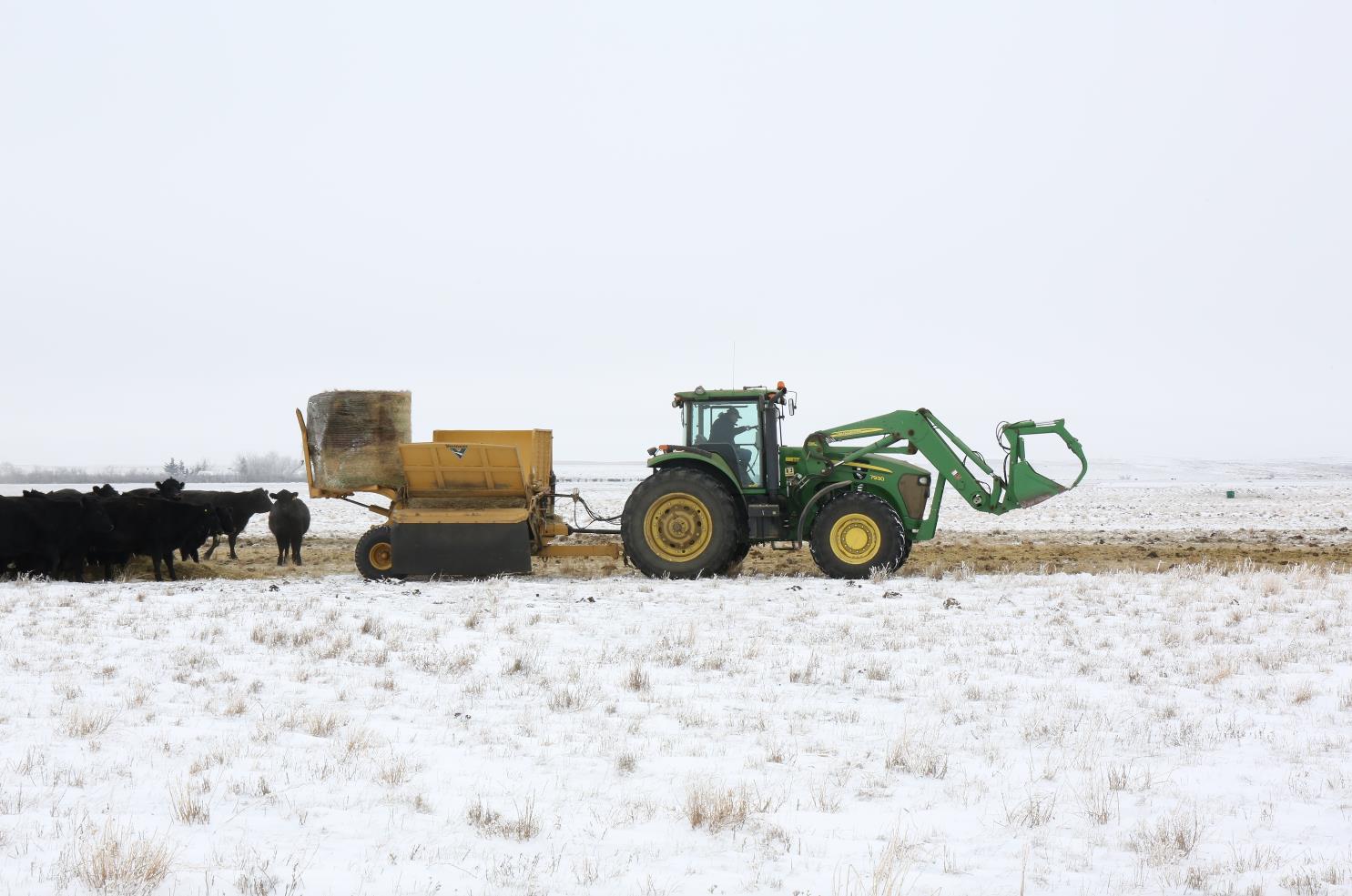 Bale processors bring versatility to the farm and beyond