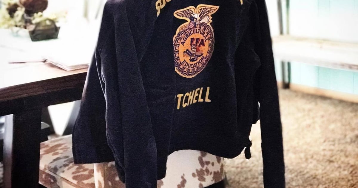 FFA the cornerstone of career development for young people