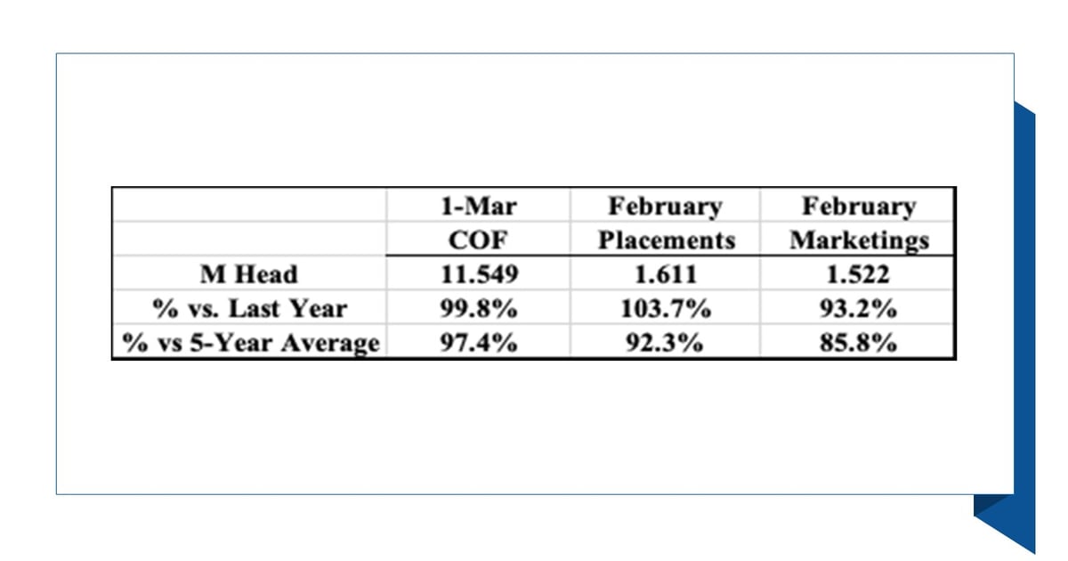 March 2026 USDA cattle on feed highlights