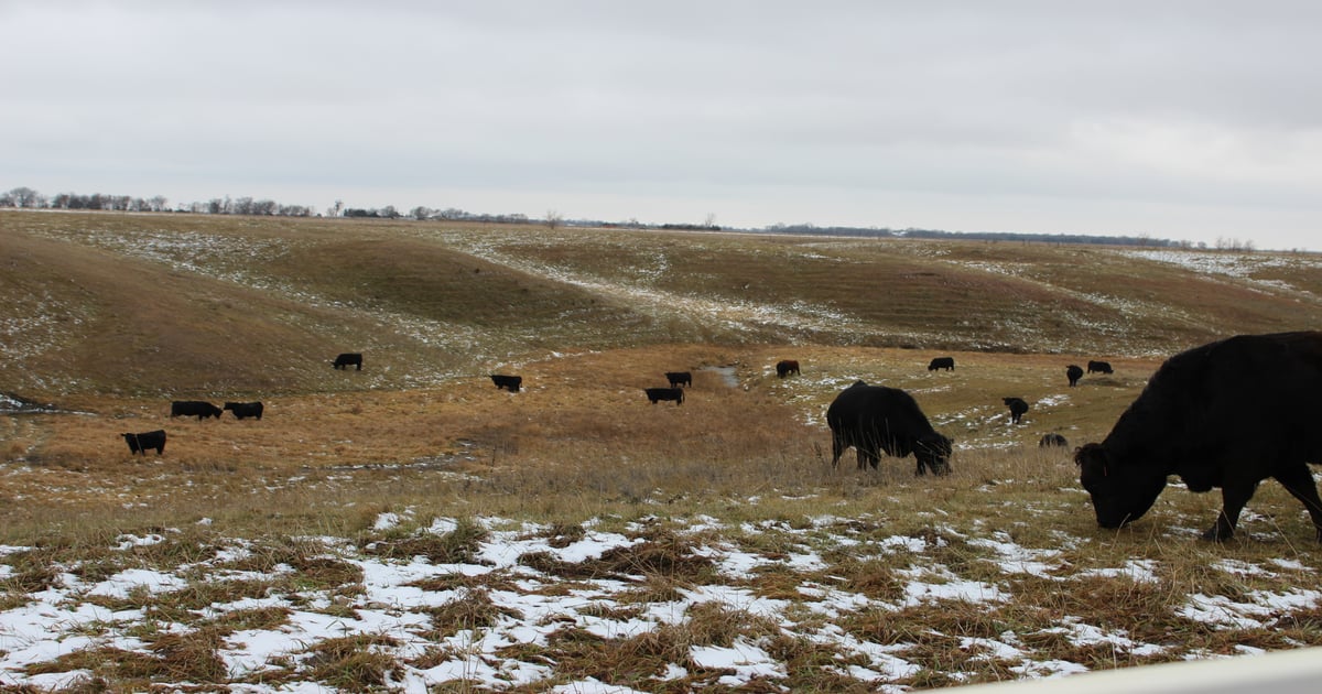 Agribusiness trends for 2020