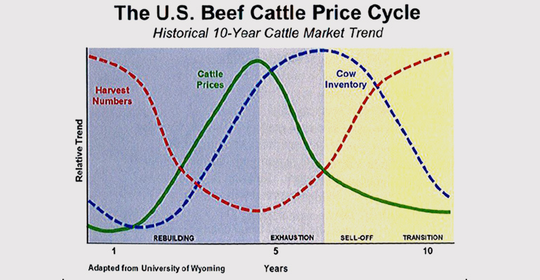 What S The Difference Between Low Cost High Return Cow Calf Producer