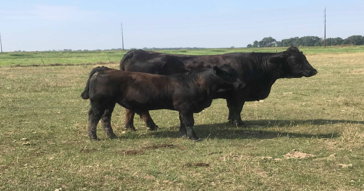 9 things to do as a family to build your ranch legacy