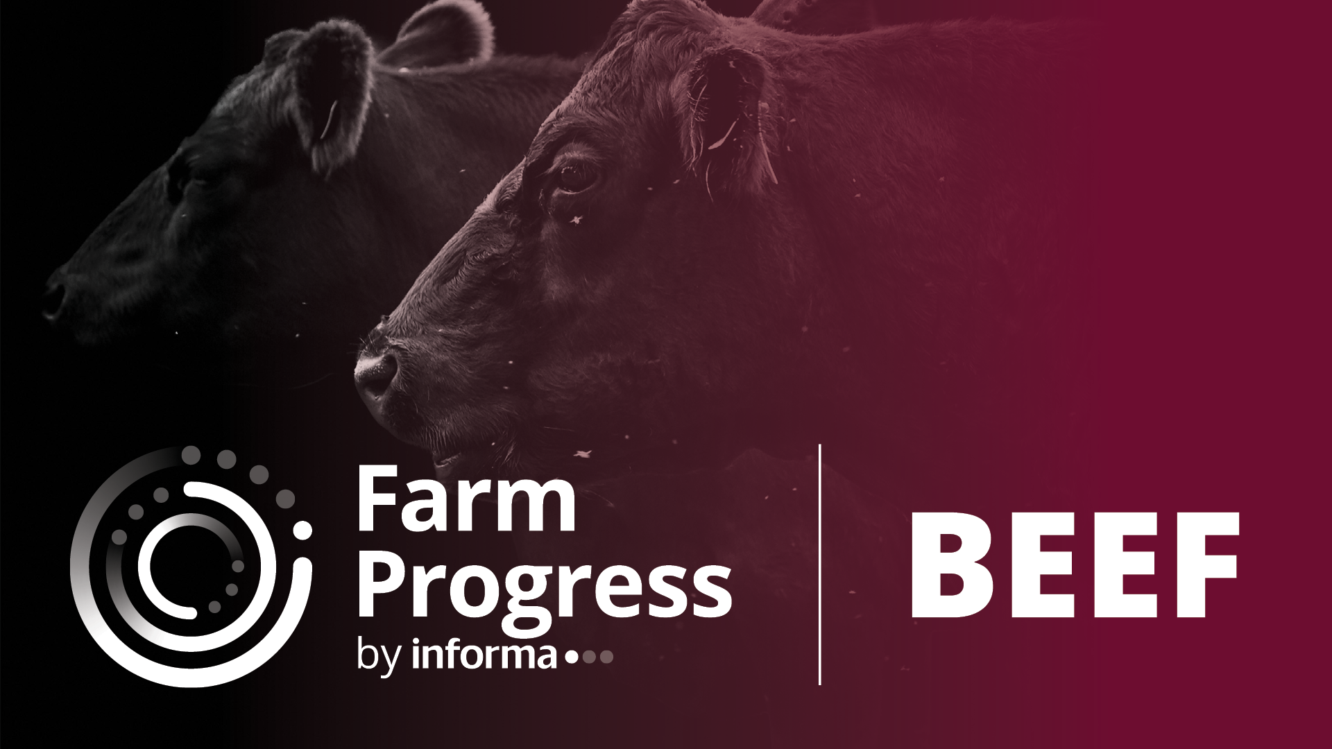Latest Oat prices | Beef Magazine