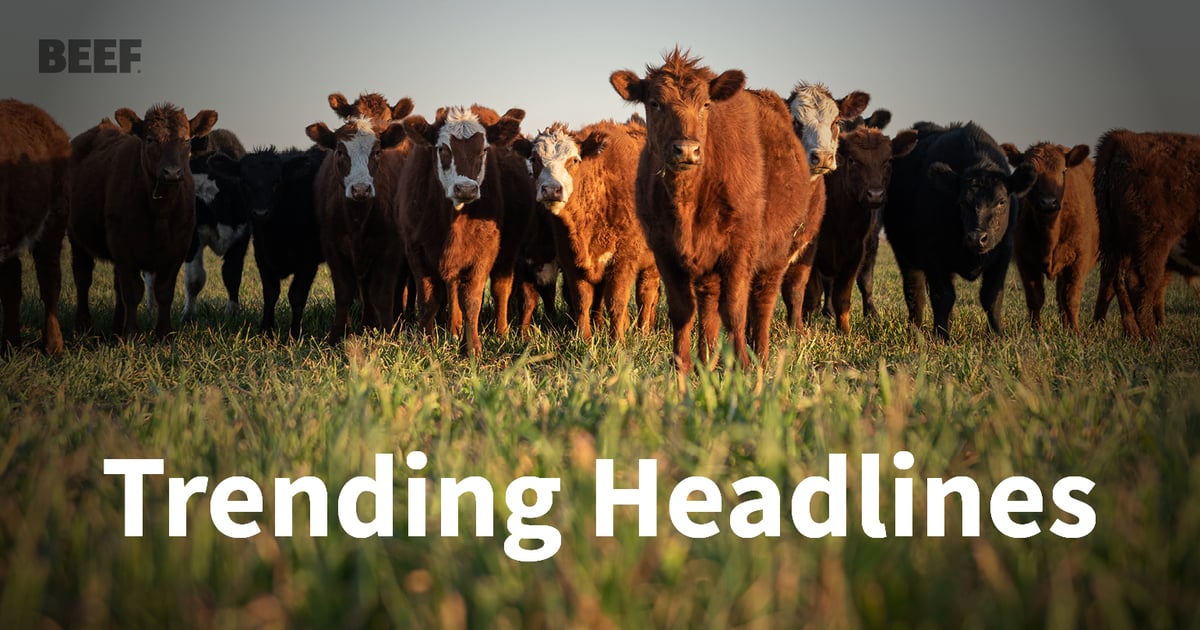 5 Trending headlines in the world