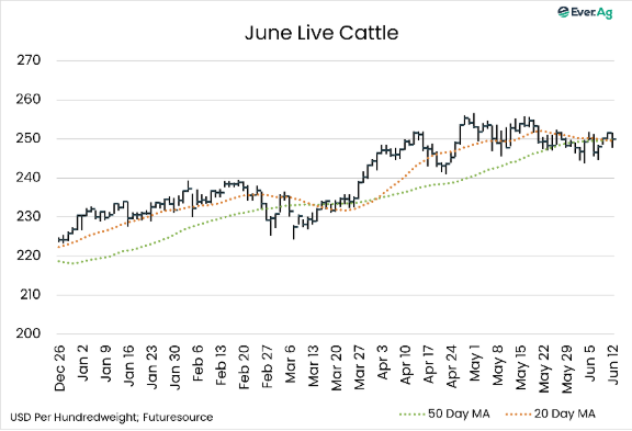 Screwworm cases climb to 12 as futures see choppy trade