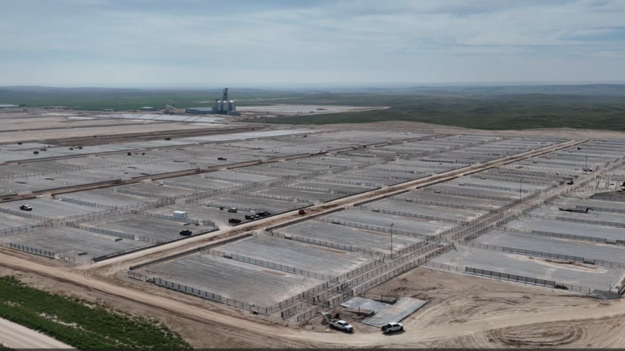 Feedlots recent news | Beef Magazine