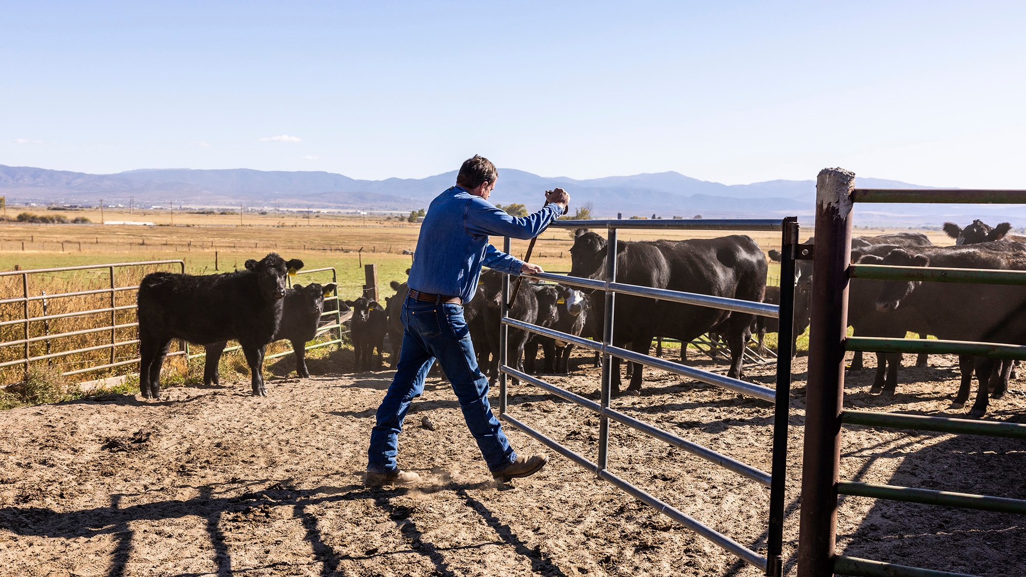 Enhanced biosecurity training helps secure operations