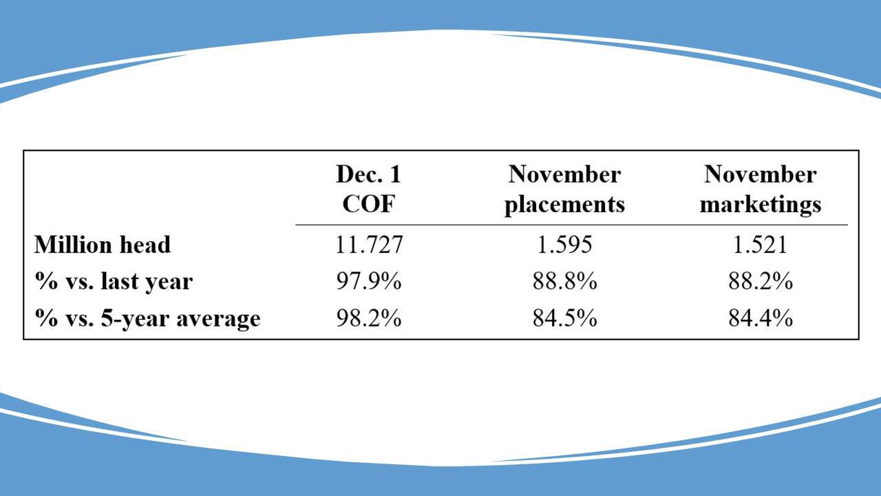 December 2025 USDA Cattle on Feed highlights