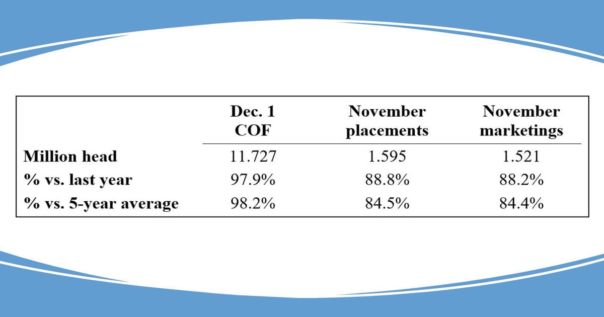 December 2025 USDA Cattle on Feed highlights