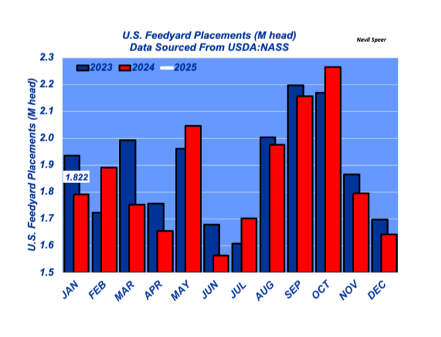 February 2025 USDA Cattle on Feed highlights