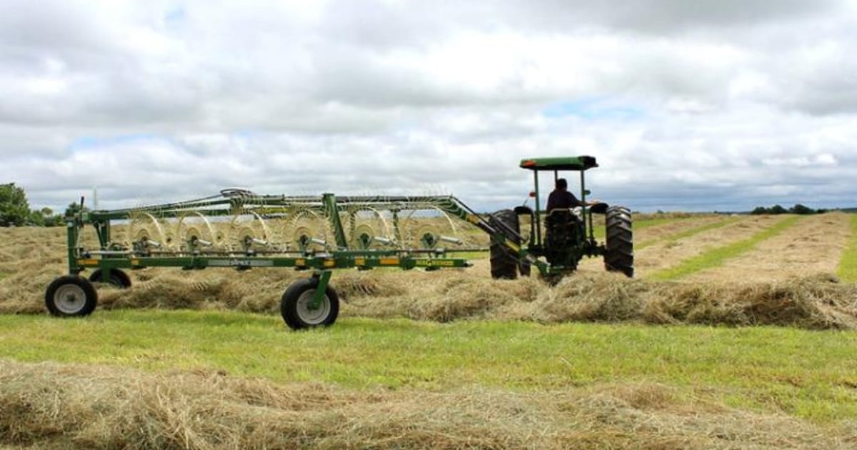 Get better hay, better returns with small changes