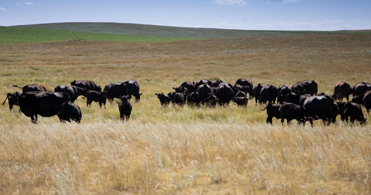 USDA announces $1.8 billion in 2026 conservation program payments