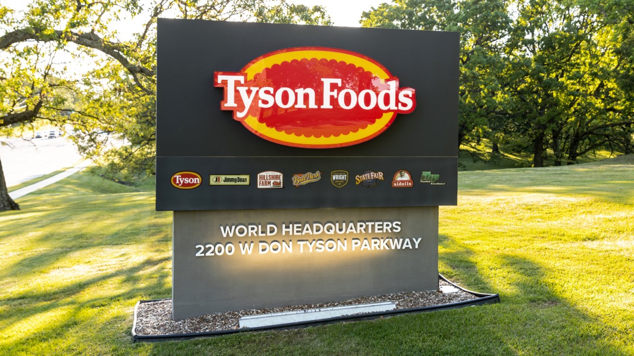 A Snapshot: What is happening in cattle