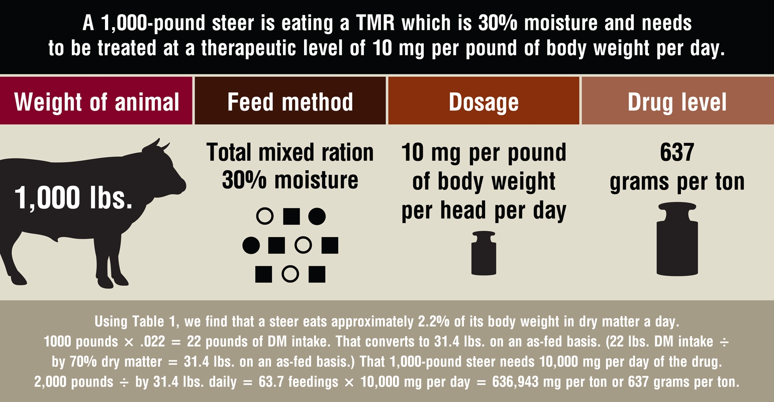 How to correctly calculate grams per ton of drugs in feed for your VFD