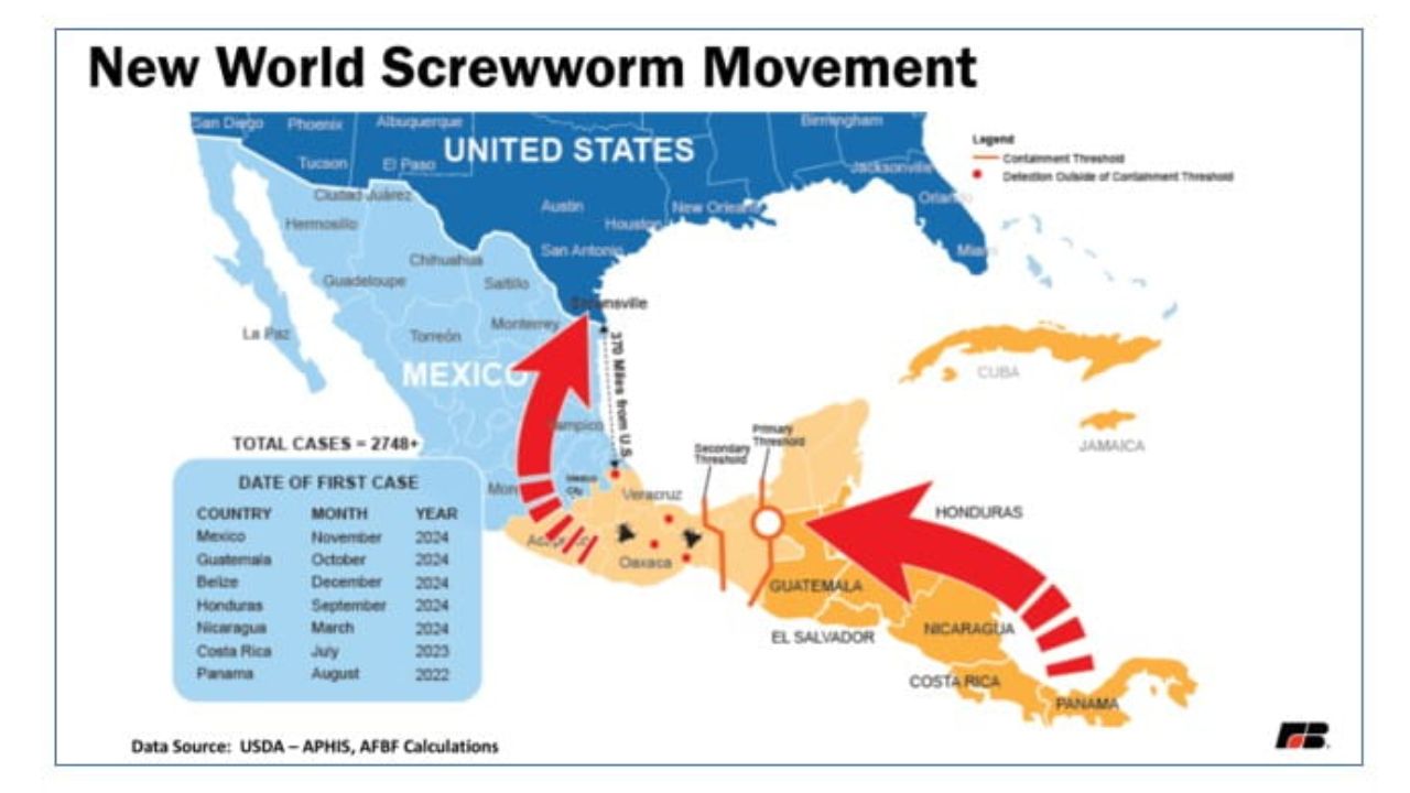 New World screwworm moves north adding to market volatility