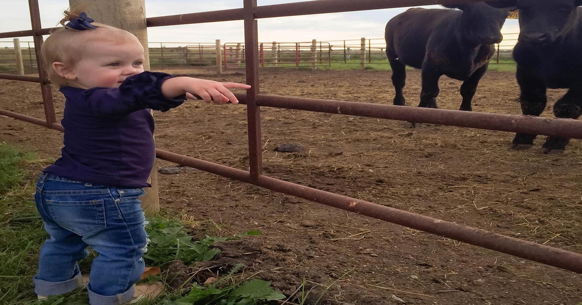 Why I’m troubled by society’s skewed relationship with animals