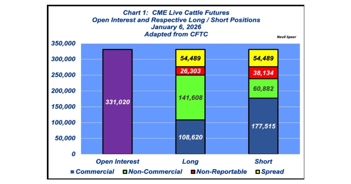 Don’t leave risk management to luck and chance