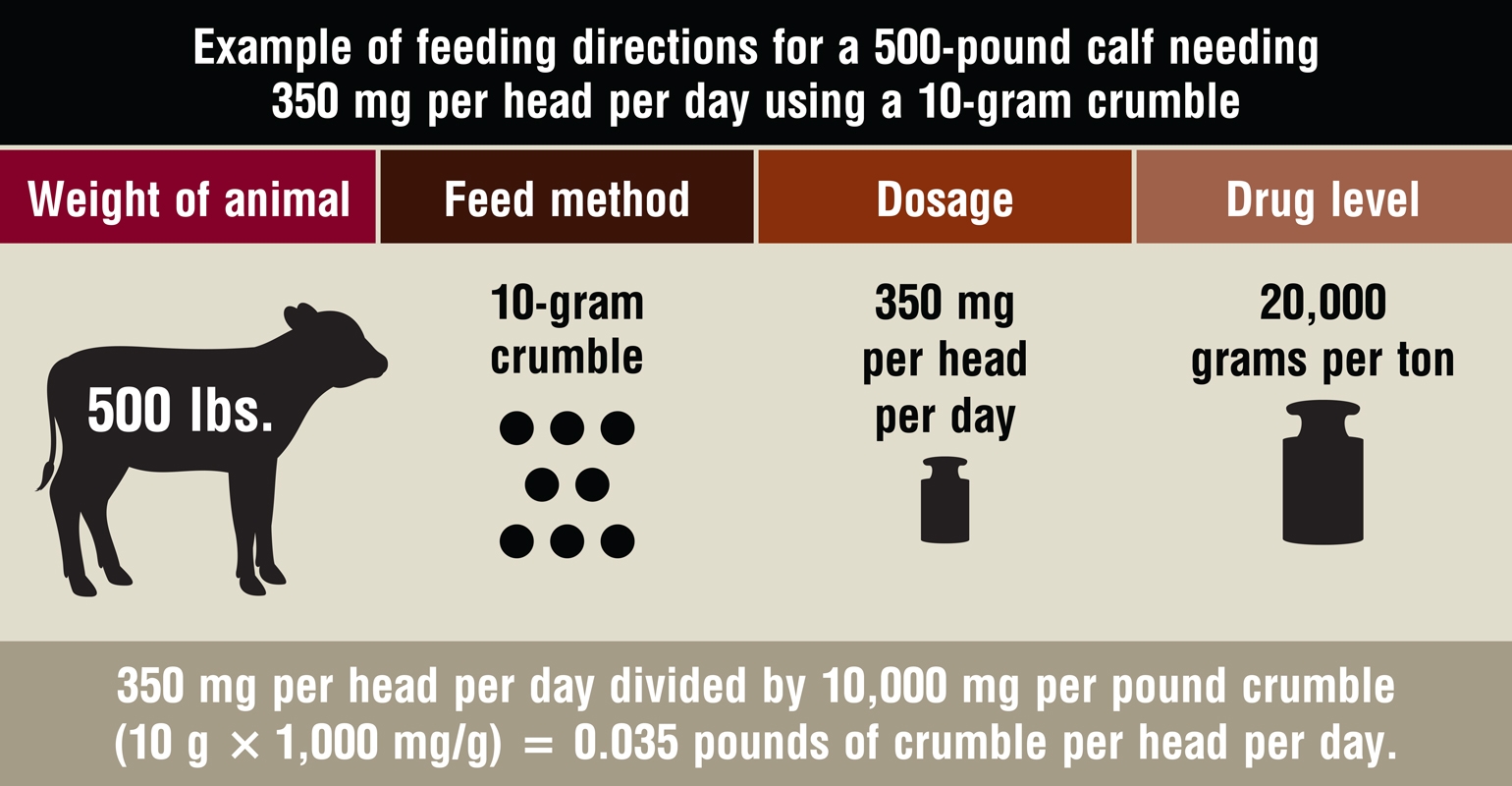 How to correctly calculate grams per ton of drugs in feed for your VFD