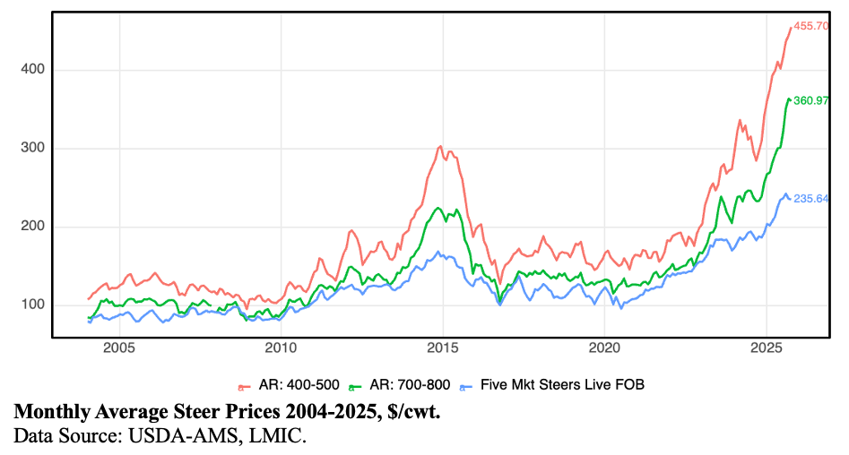A review of 2025 beef and cattle markets