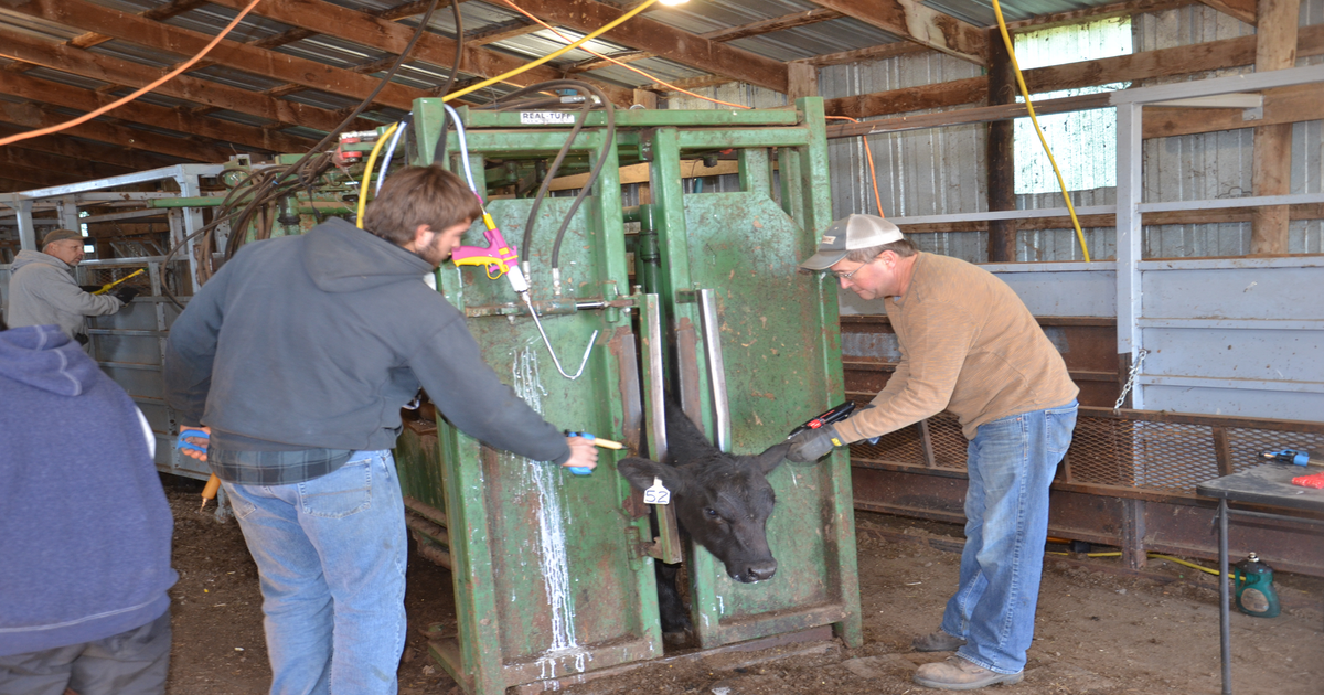 The generational operation: How one family makes it work