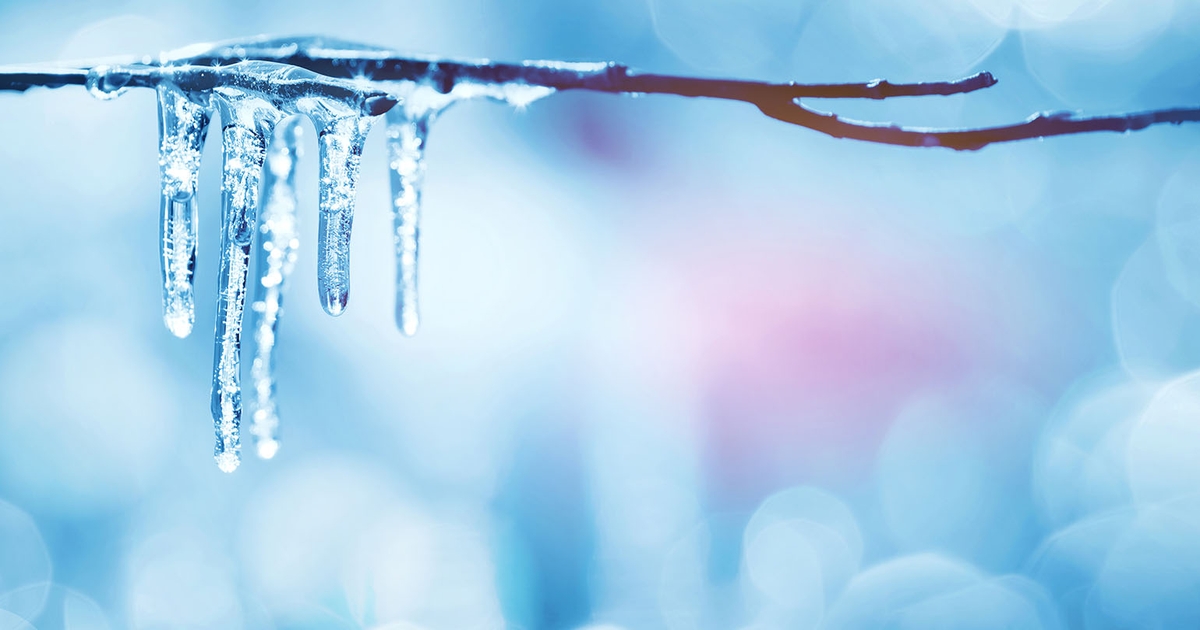 It's the warmest winter ever