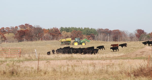 Reduce Winter Hay Needs By 33%