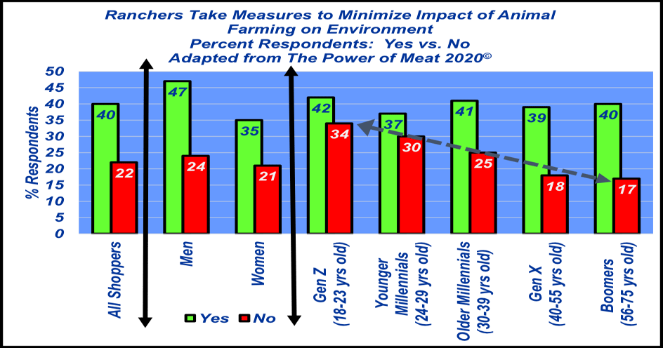 Power of Meat – Consumer perspectives on the environment