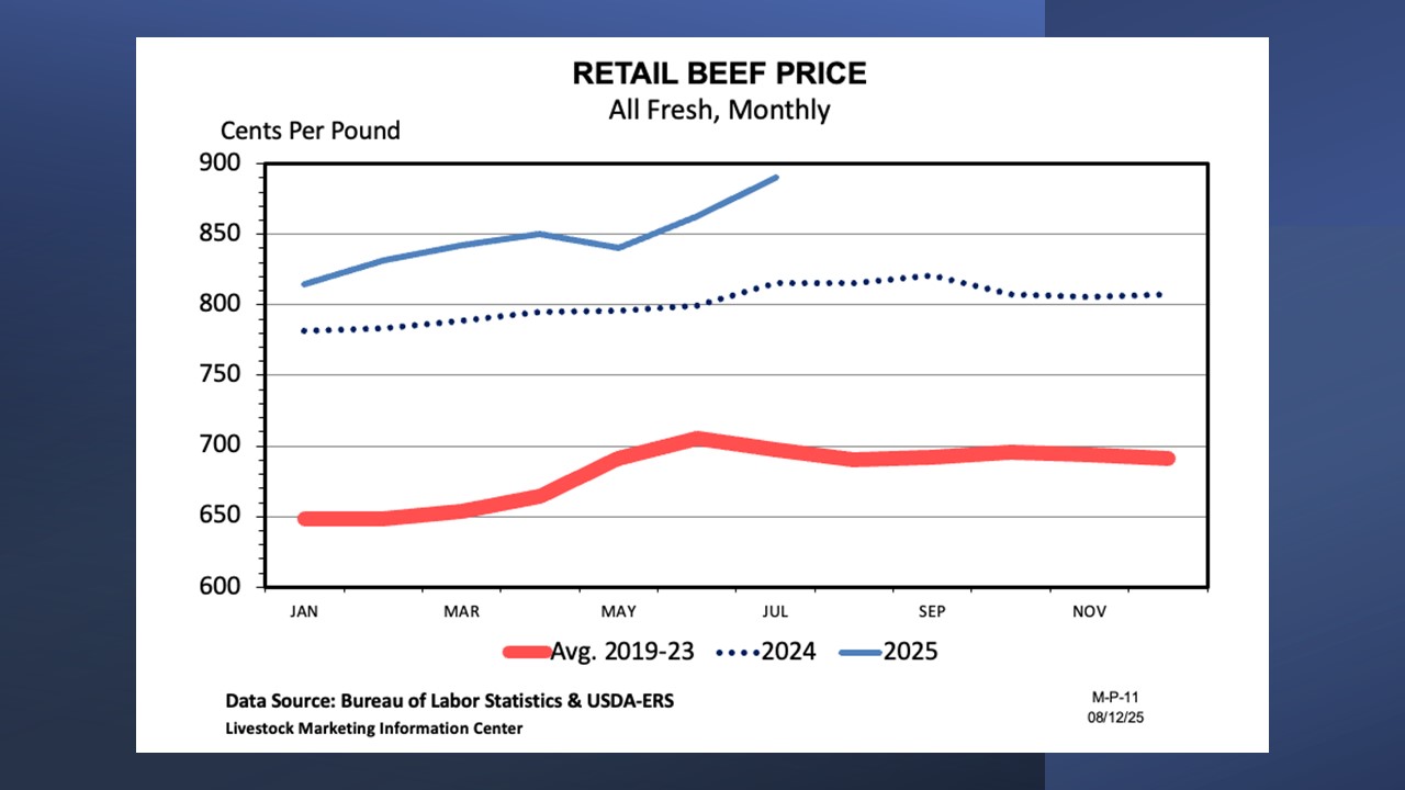 Outlook for beef demand