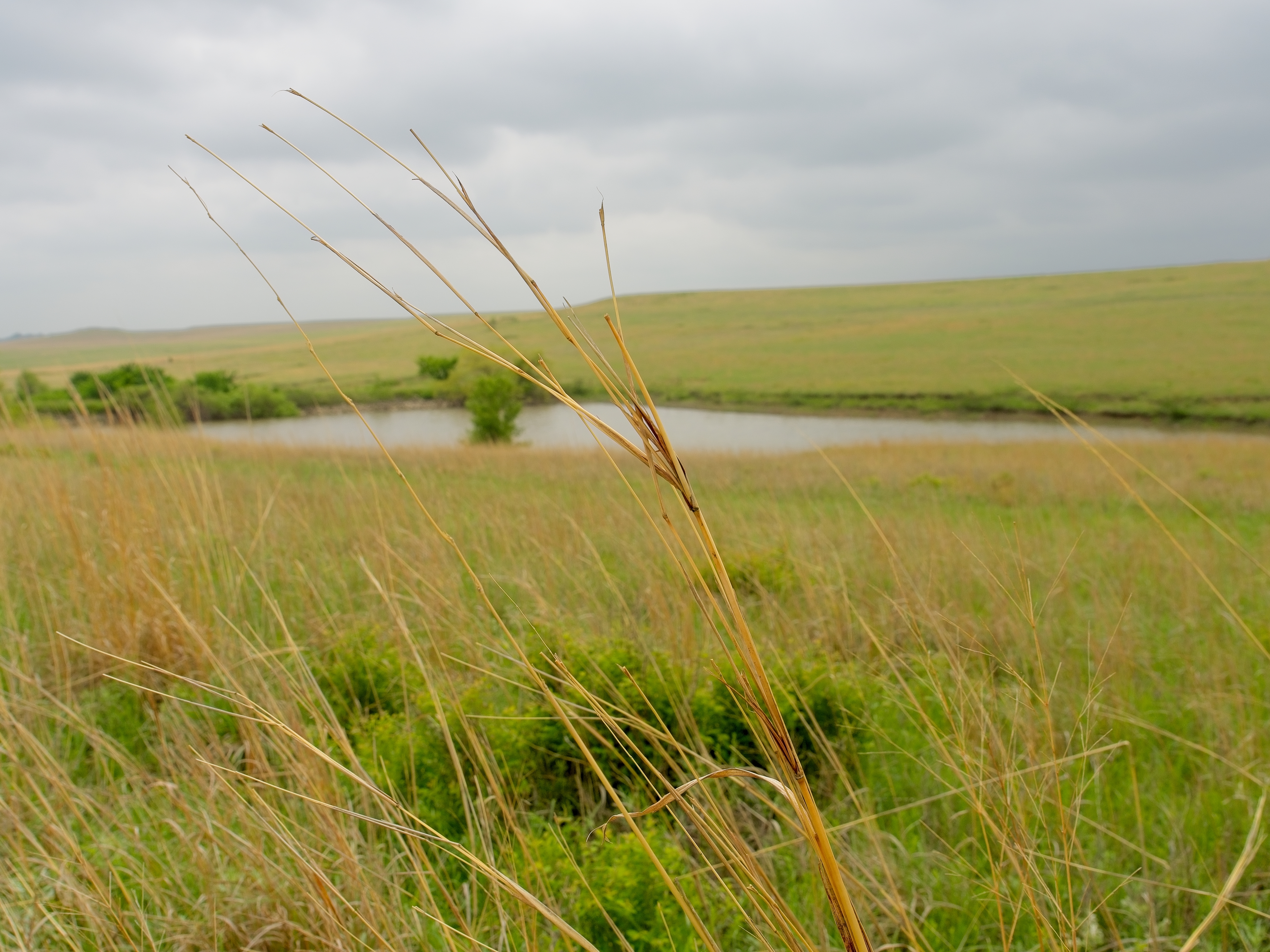 BLM rule threatens multiple use management of public lands